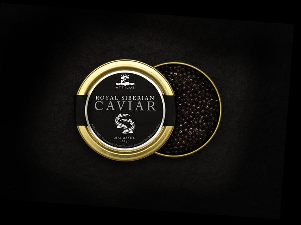 Royal Siberian Caviar - Siberian Sturgeon (Acipenser Baerii) – Attilus ...